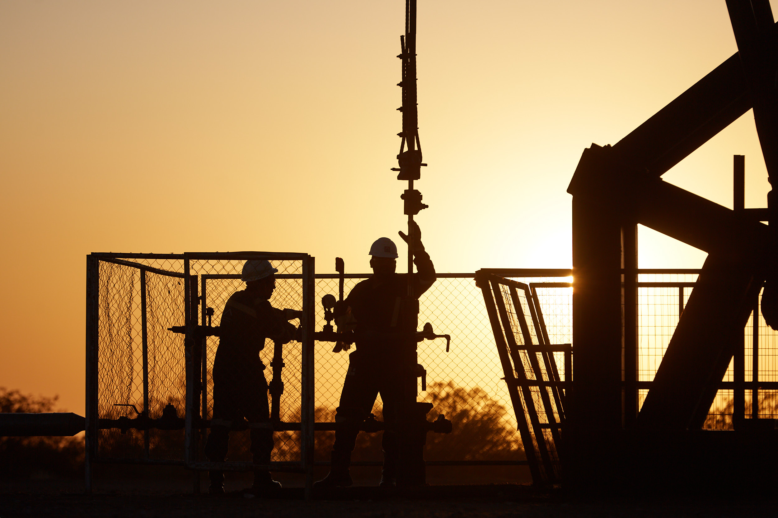 UNRN | Universidad Nacional de Río Negro