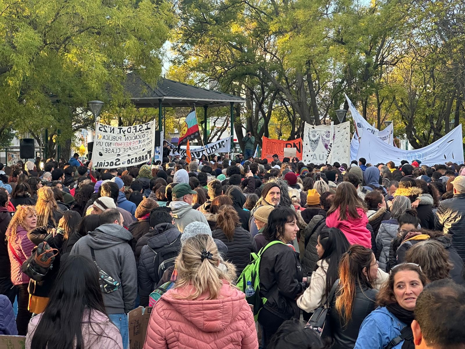 UNRN | Universidad Nacional de Río Negro