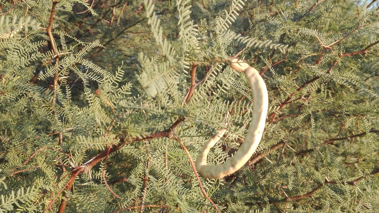 UNRN | Universidad Nacional de Río Negro